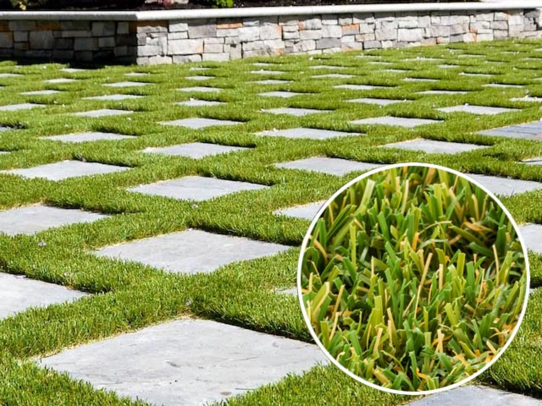 Native Turf - Turf Tek USA | Turf Tek USA