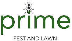 Pest Control Lubbock, TX | Prime Pest & Lawn
