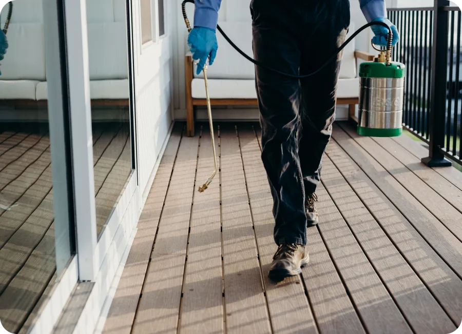 Wasp Control in Salt Lake City | Prime Pest & Lawn